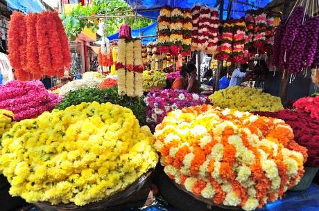 Indian Flower Vendor Sells Variety Flowers Editorial Stock Photo ...