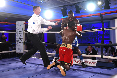 Morgan Jones C Defeats Adam Jones Editorial Stock Photo - Stock Image ...