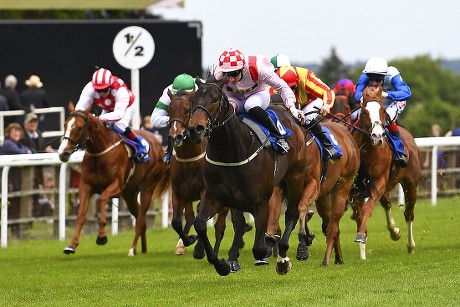 __COUNT__ Afternoon Racing, Horse Racing, Salisbury Racecourse ...