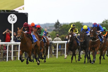 __COUNT__ Afternoon Racing, Horse Racing, Salisbury Racecourse ...