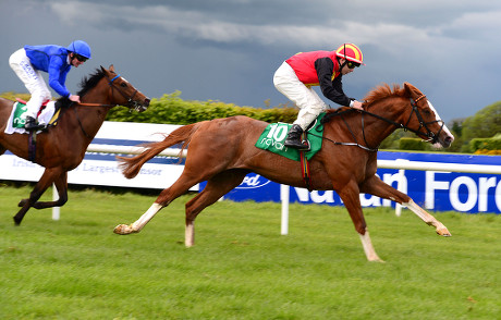 Navan Twin Star Ronan Whelan Wins Editorial Stock Photo - Stock Image ...