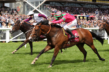 Newbury Shalaa Carnarvon Stakes Listed Race Editorial Stock Photo ...