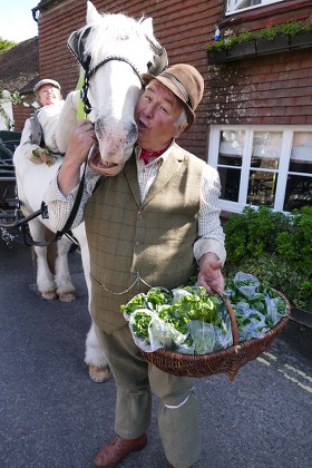 George Cart Master Roly His Horse Editorial Stock Photo - Stock Image ...