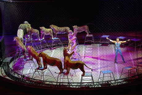 Ringling Bros. Circus Final Performances, New York, USA - 21 May 2017 ...