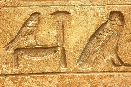 Hieroglyphic Images Falcons Symbol Falconheaded Creator Editorial Stock ...