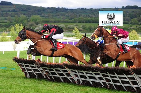 Punchestown Talsara Pat Foley Fly Final Editorial Stock Photo - Stock ...