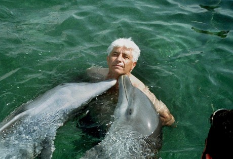 49 Befriending Stock Pictures, Editorial Images and Stock Photos ...