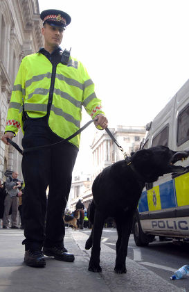 Police Dog Handler Editorial Stock Photo - Stock Image | Shutterstock
