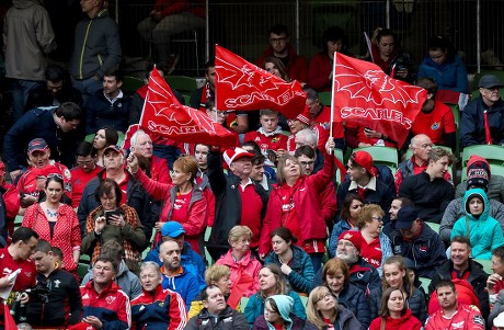 Munster Vs Scarlets Scarlets Fans Ahead Editorial Stock Photo - Stock ...
