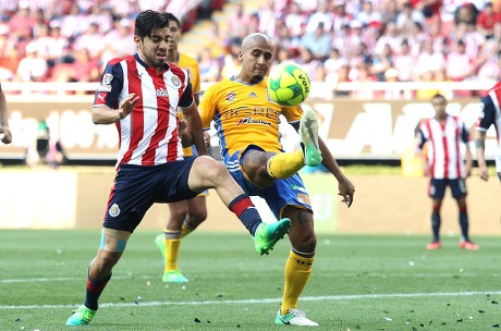 __COUNT__ Chivas vs Tigres, Guadalajara, Mexico - 28 May 2017 Stock ...