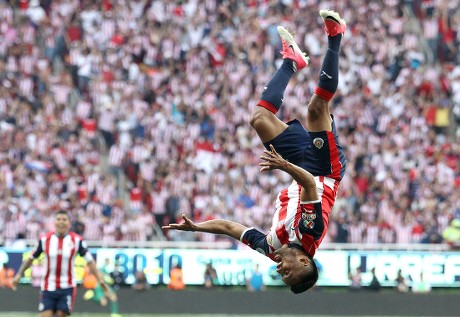 __COUNT__ Chivas vs Tigres, Guadalajara, Mexico - 28 May 2017 Stock ...