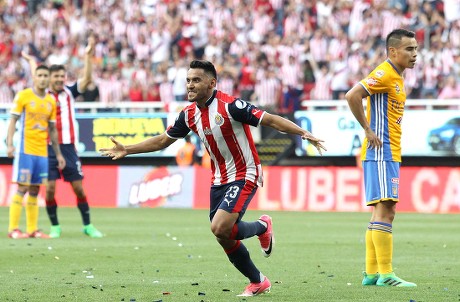 __COUNT__ Chivas vs Tigres, Guadalajara, Mexico - 28 May 2017 Stock ...