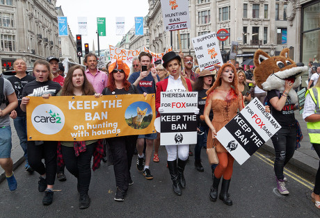 __COUNT__ Anti-Fox Hunting march, London, UK - 29 May 2017 Stock ...