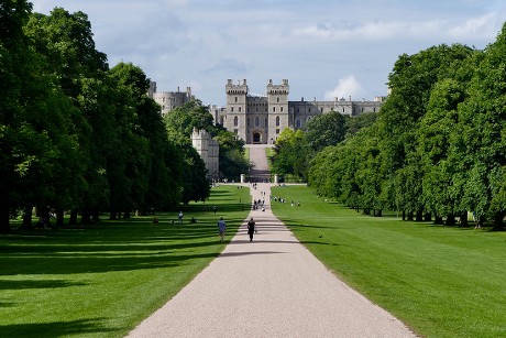 Trees Windsor Great Park Cast Their Editorial Stock Photo - Stock Image ...