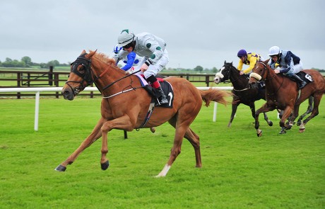 Fairyhouse Whitemountainfairy Shane Foley Win Foran Editorial Stock ...