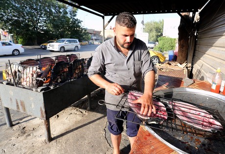 Iraqi Man Grills Traditional Iraqi Recipe Editorial Stock Photo - Stock ...