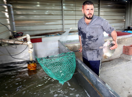 Iraqi Man Catches Carp Fish Be Editorial Stock Photo - Stock Image ...