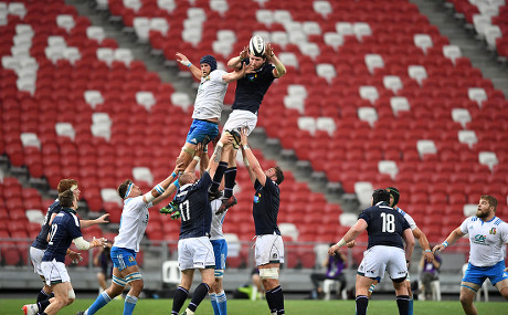 Ali Price Scotland Scrum Half Celebrates Editorial Stock Photo - Stock ...