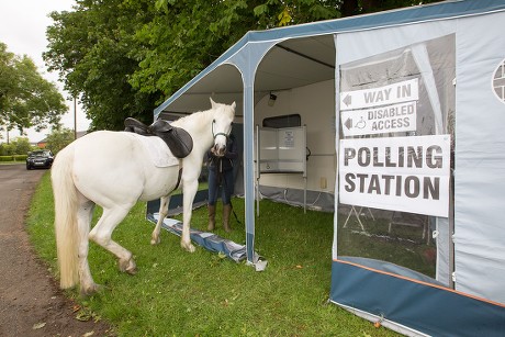 Voter Her Horse Village Carltoncambsvoting Caravan Editorial Stock ...