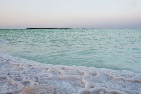 Closer View On Dead Sea Salt Editorial Stock Photo - Stock Image ...