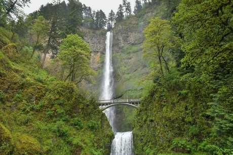 64 Multnomah falls Stock Pictures, Editorial Images and Stock Photos ...