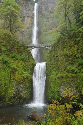 64 Multnomah falls Stock Pictures, Editorial Images and Stock Photos ...