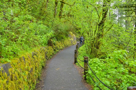 64 Multnomah falls Stock Pictures, Editorial Images and Stock Photos ...