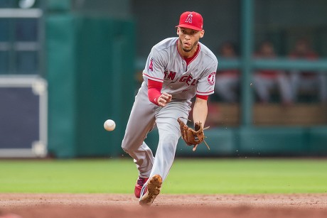 Los Angeles Angels Left Fielder Cameron Editorial Stock Photo - Stock ...
