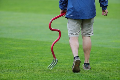 Green Keeper Prior Fifa World Cup Editorial Stock Photo - Stock Image ...