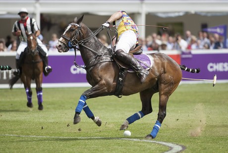 Charlie Wooldridge 1 Whitley Neill Team Editorial Stock Photo - Stock ...