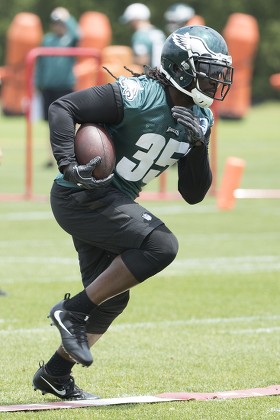Philadelphia Eagles Running Back Legarrette Blount Editorial Stock ...
