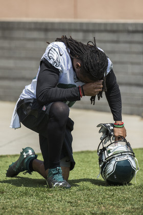 Philadelphia Eagles Cornerback Ron Brooks 33 Editorial Stock Photo ...