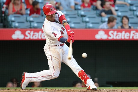 Los Angeles Angels Third Baseman Yunel Editorial Stock Photo - Stock ...