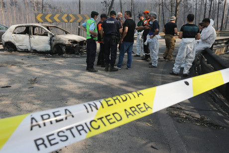 Firefighters Medical Forensic Investigators Stand Near Editorial Stock ...