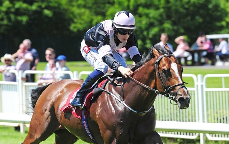 Cork Hit Bid Leigh Roche Win Editorial Stock Photo - Stock Image ...