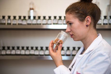 Perfumer Works Lab Press Preview Perfume Editorial Stock Photo - Stock ...