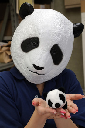 __COUNT__ Production of rubber masks of giant pandas commemorating the ...