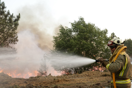 Spanish Specialists Firemen Watch Controlled Fire Editorial Stock Photo ...