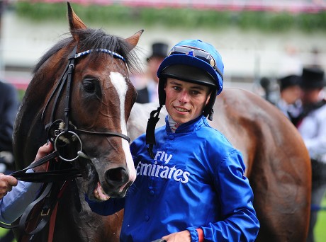 Leopardstown Jet Streaming Danny Sheehy Win Editorial Stock Photo ...