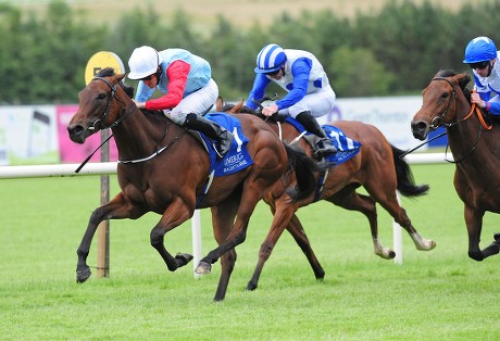 Limerick Amenette Billy Lee Win Irish Editorial Stock Photo - Stock ...