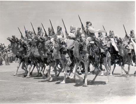 95 Arab legion Stock Pictures, Editorial Images and Stock Photos ...