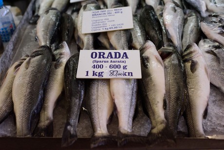 Fresh Gilthead Bream Orada On Stall Editorial Stock Photo - Stock Image ...