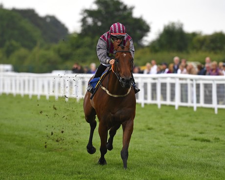 Whitsbury Manor Stud Bibury Cup Day, Horse Racing, Salisbury Racecourse ...