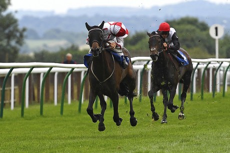 Whitsbury Manor Stud Bibury Cup Day, Horse Racing, Salisbury Racecourse ...