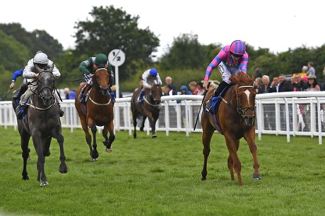 Winner Whitsbury Manor Stud Bibury Cup Editorial Stock Photo - Stock ...