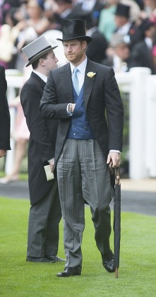 100 Harry sanders Stock Pictures, Editorial Images and Stock Photos ...