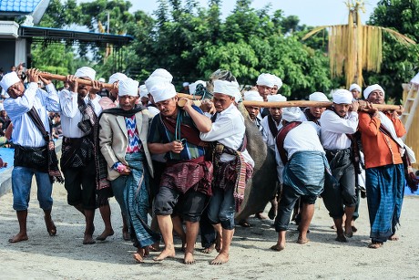 Bataknese People During Sipaha Lima Ceremony Editorial Stock Photo ...