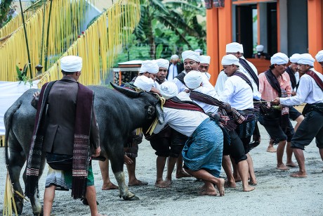 Bataknese People During Sipaha Lima Ceremony Editorial Stock Photo ...