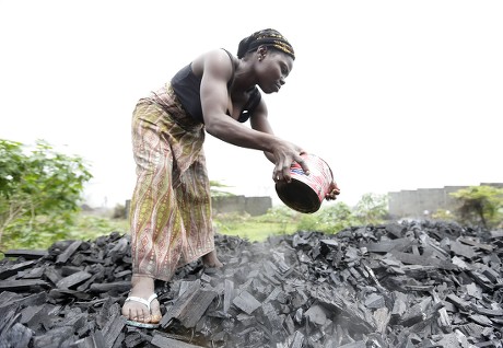 Man Works Charcoal Factory Near Abidjan Editorial Stock Photo - Stock ...