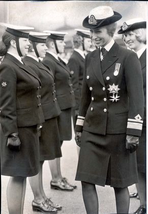 82 Wrns Stock Pictures, Editorial Images and Stock Photos | Shutterstock